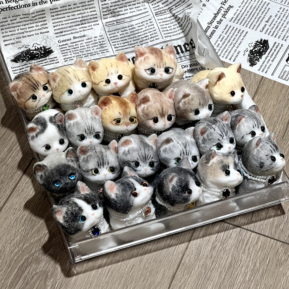 LIVE – FUFUSQUISHY