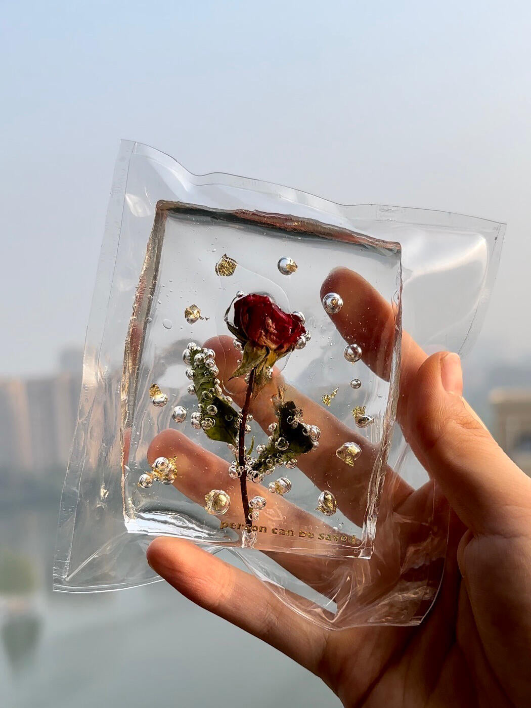 Frozen Rose Squishy – FUFUSQUISHY