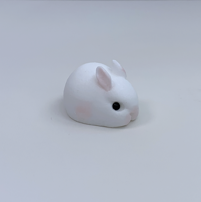 Little White Rabbit Taba Squishy – FUFUSQUISHY